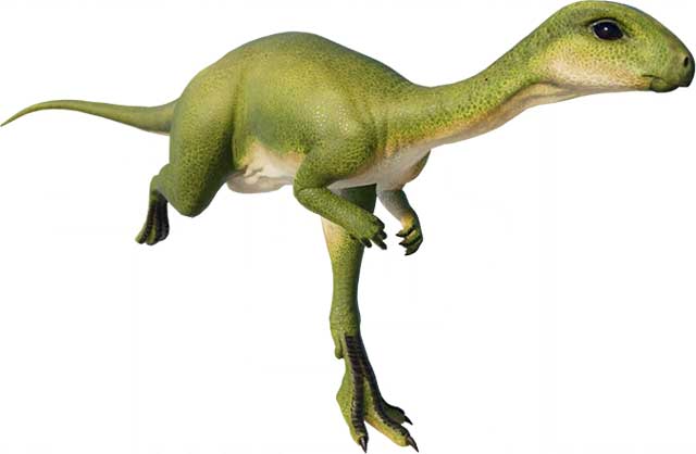 나무 도마뱀 드리오사우루스 (Dryosaurus)